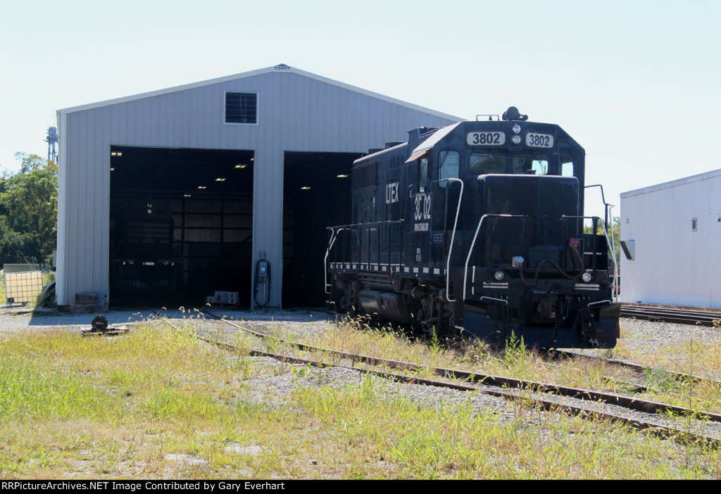 LTEX 3802 & BLOL 7561